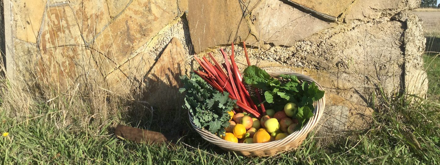 Diet and Nutrition – Fuelling Farmers’ Lunch Boxes | National Centre ...