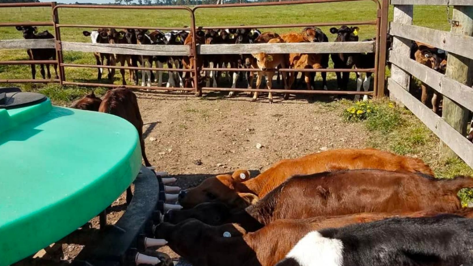 Drugs and alcohol on farm – a difficult conversation, but one worth ...