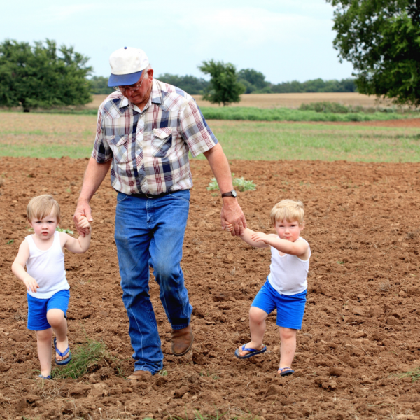 Ageing on the farm: Making a safe transition | National Centre for ...
