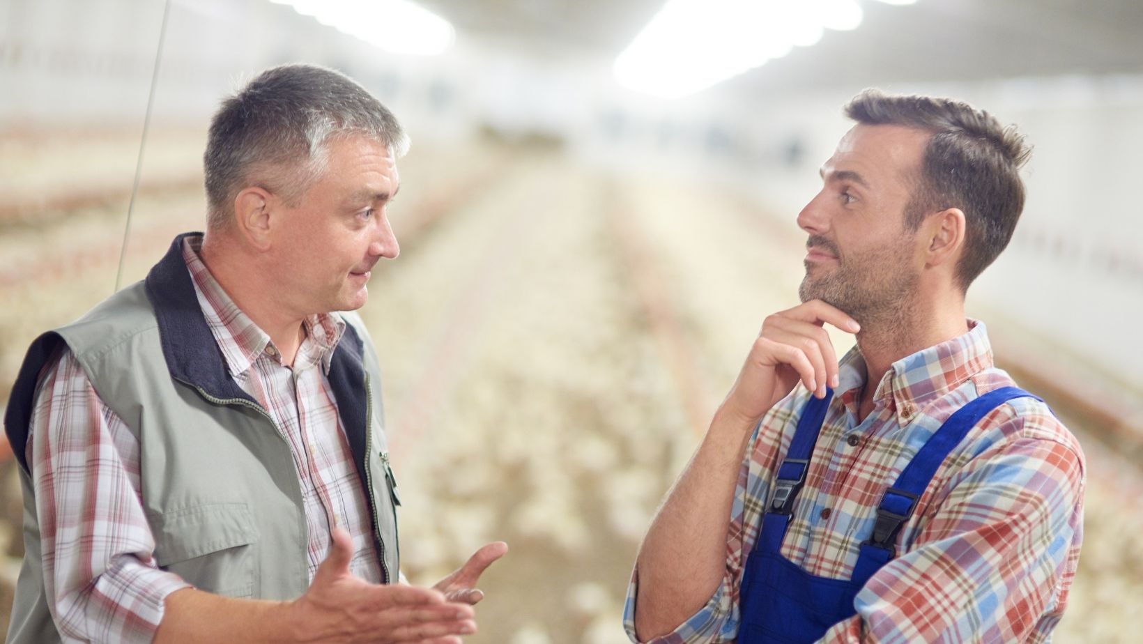 Communication and connection – your unexpected farming essentials ...