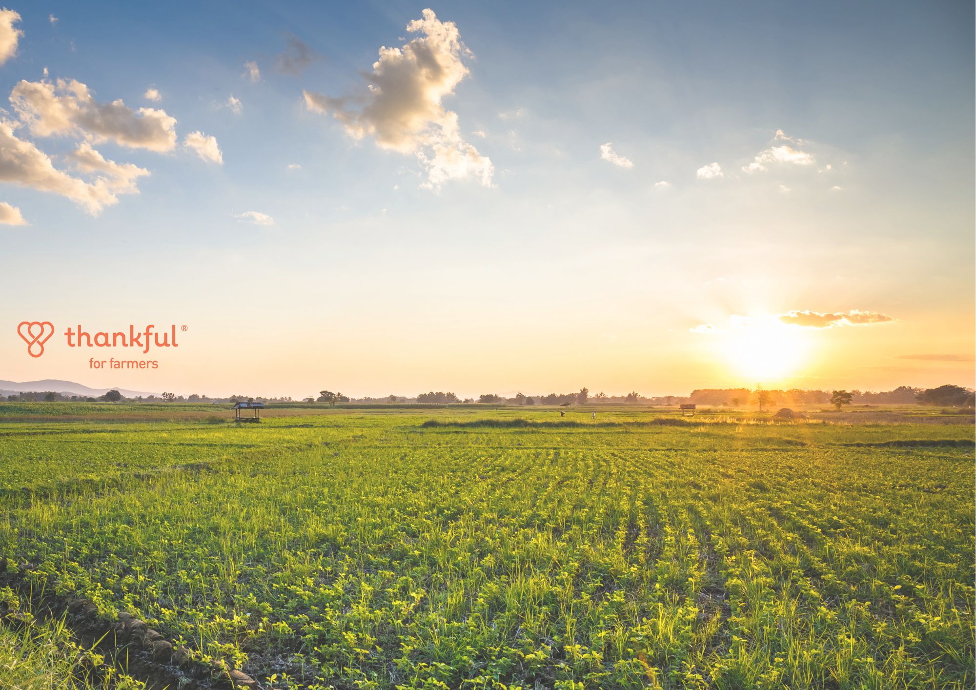 Mind Maintenance Toolkit | National Centre for Farmer Health